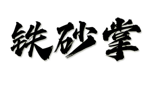 How to Hundred Days Mastery of Iron Palm Technique ? - Chen Style